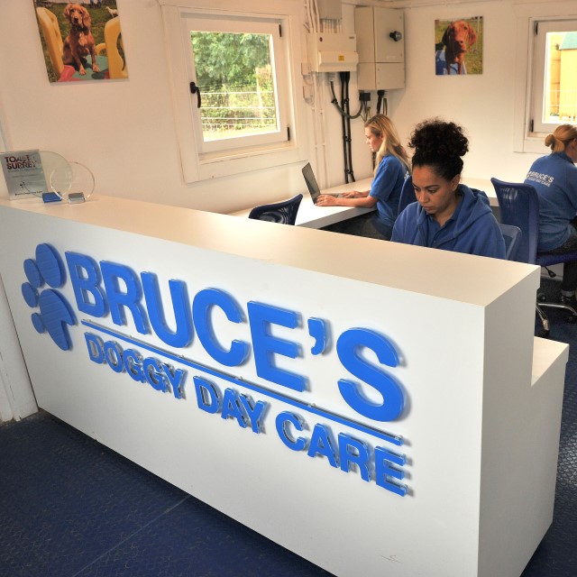 Piper - Our Brands - Bruce’s Doggy Day Care