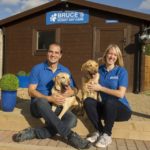 Piper - Our Brands - Bruce’s Doggy Day Care